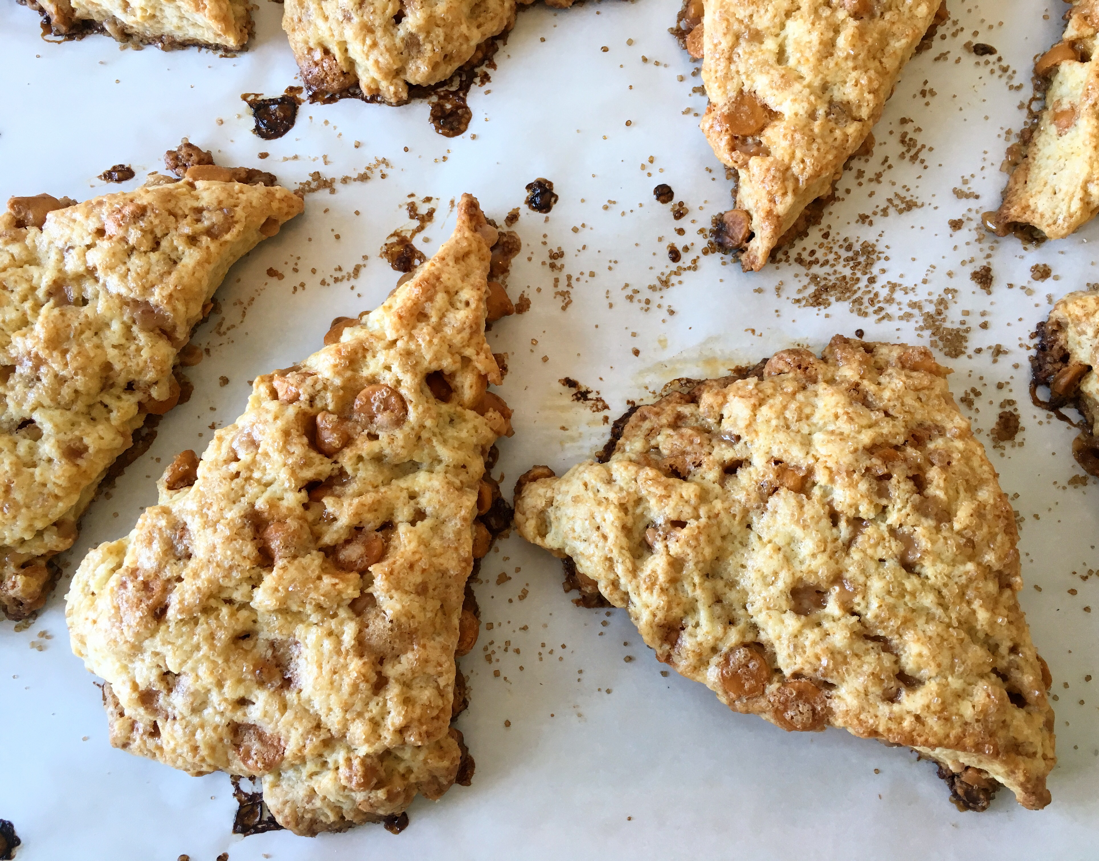 Toffee-Butterscotch Scones - Never Not Hungry